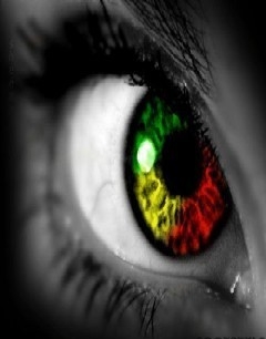 s.o.j.a: Fotos Reggae