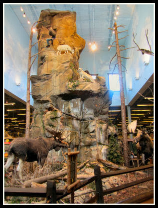 The Odd Essay: Fun Visit to a Bass Pro Shop