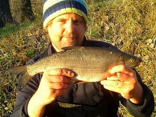 Tobbes fiske: Vimmafiske Dalälven och Testeboån