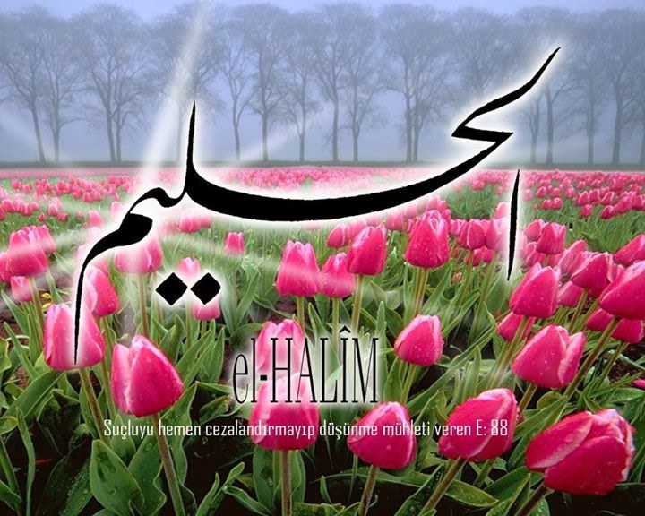 DUÂ DERYASI: YA HALİM 88 KERE