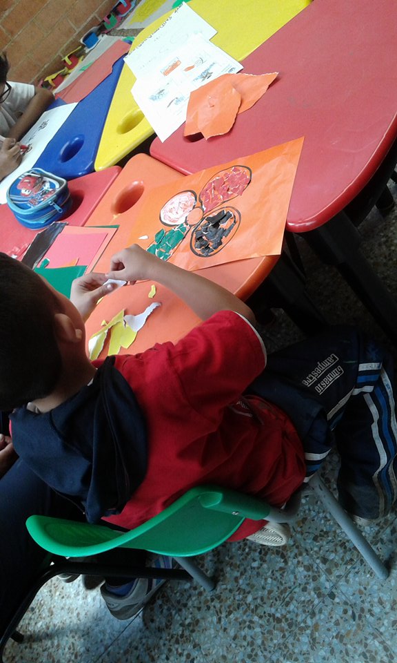 PRÁCTICA PROFESIONAL: 2016