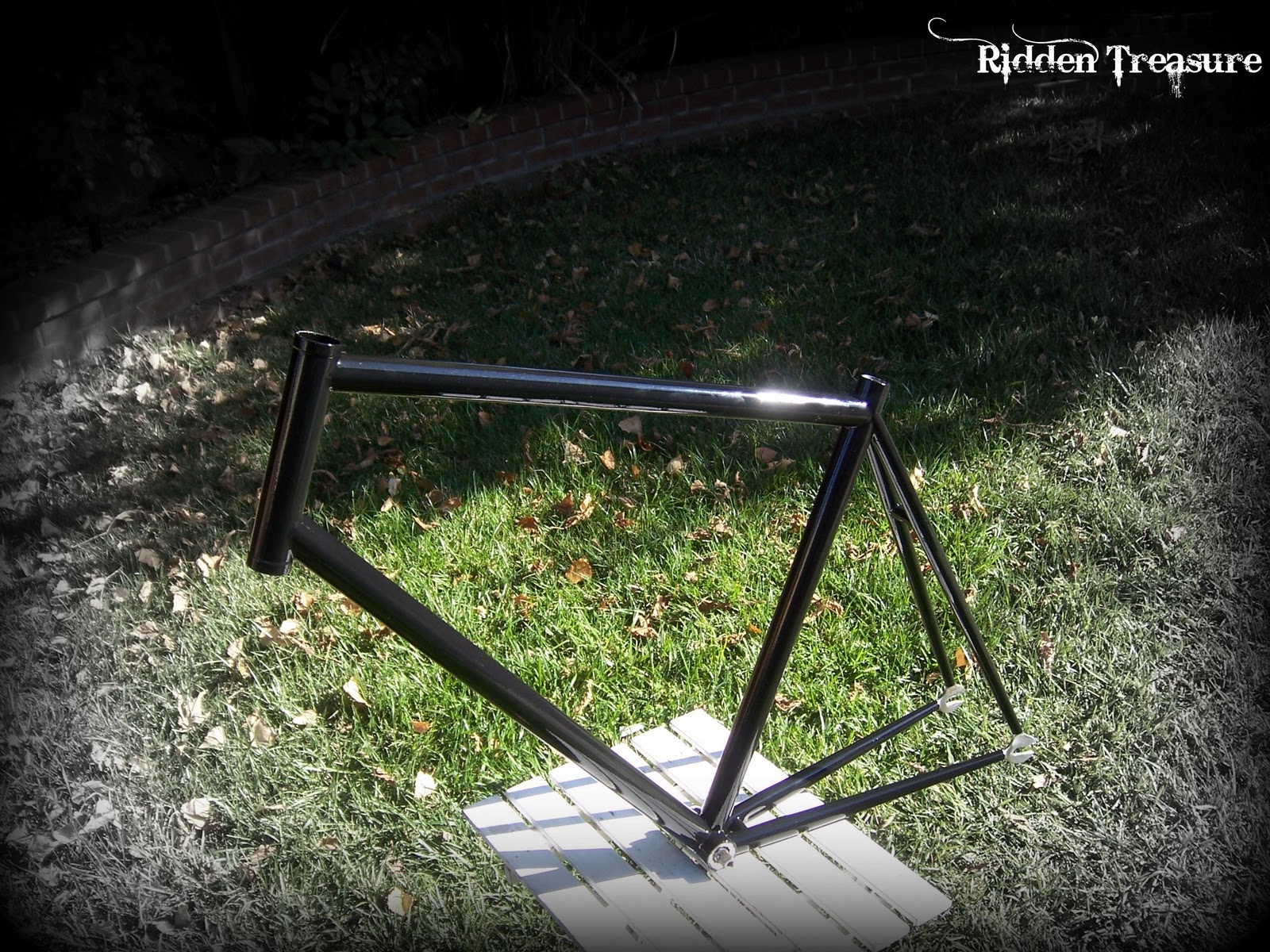 Ridden Treasure: Finished Project: Mikkelsen track frame