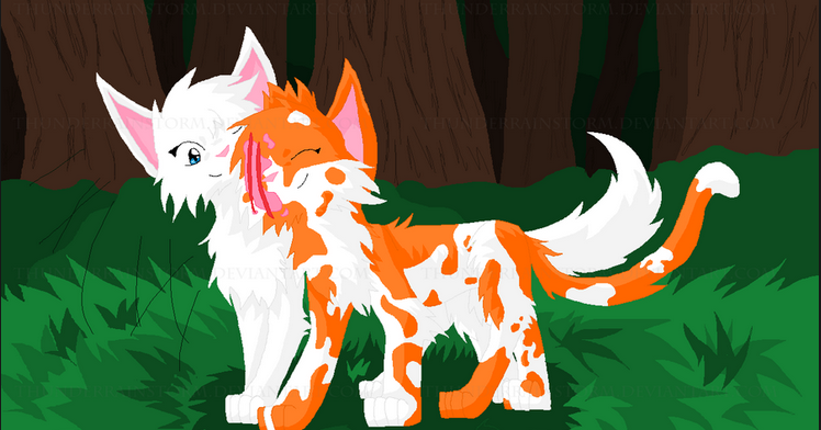 Warrior Cats Roleplay: My first Intro :D