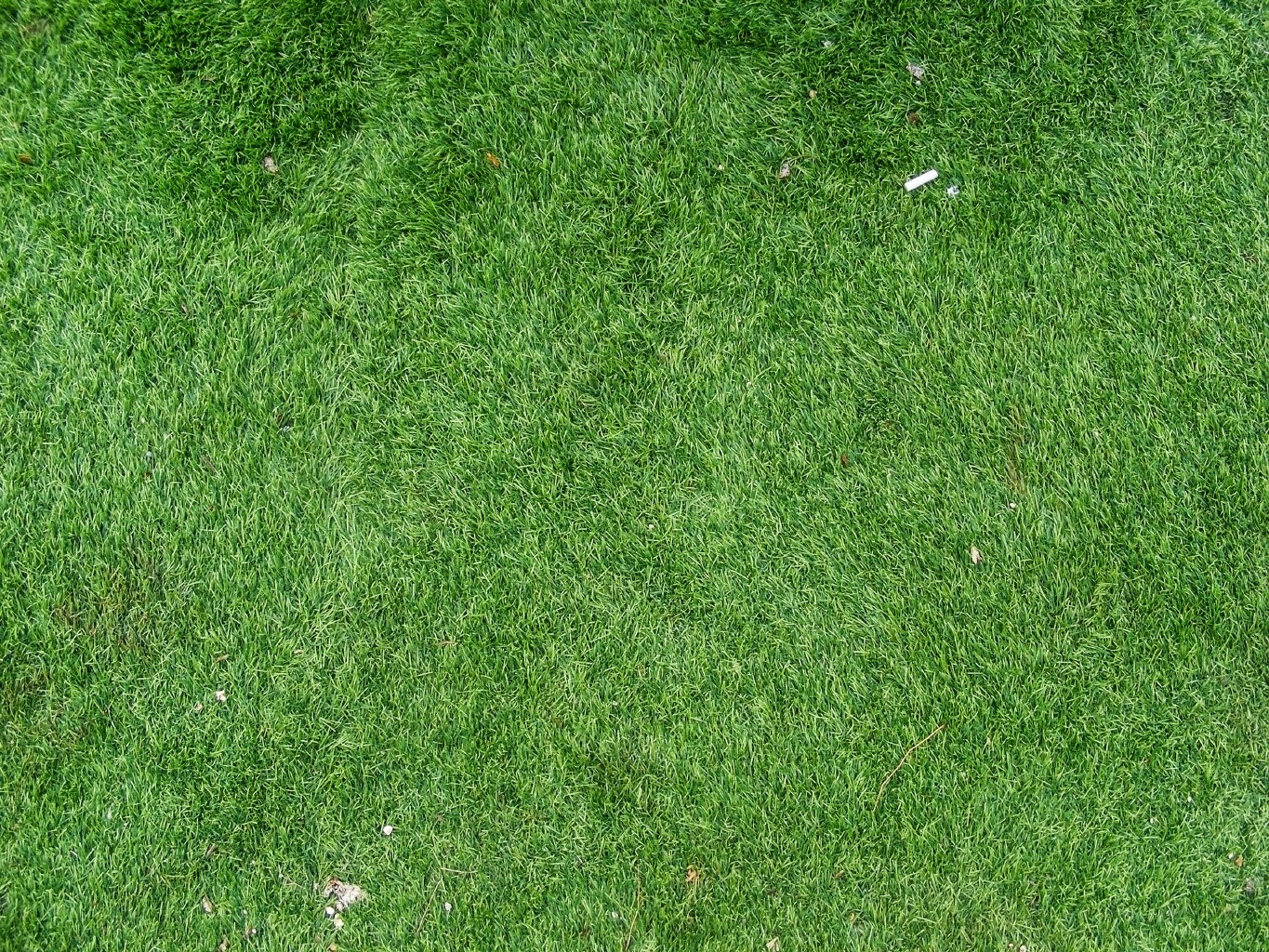 L‍evTex 3D Textures: Artifical Grass Textures (3 photo-textures)