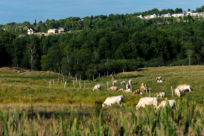 sending postcards: road trips