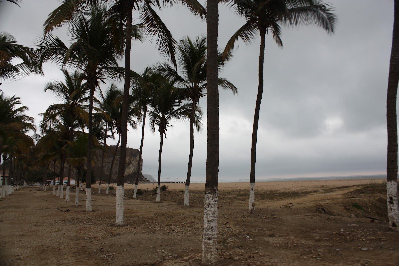 the leopard with a jacket: Angola - Sumbe e Porto Amboim