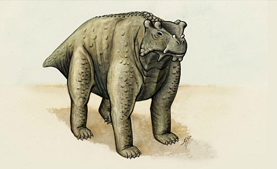 'Besta da cara de verrugas' - o bizarro 'tataravô' dos dinossauros