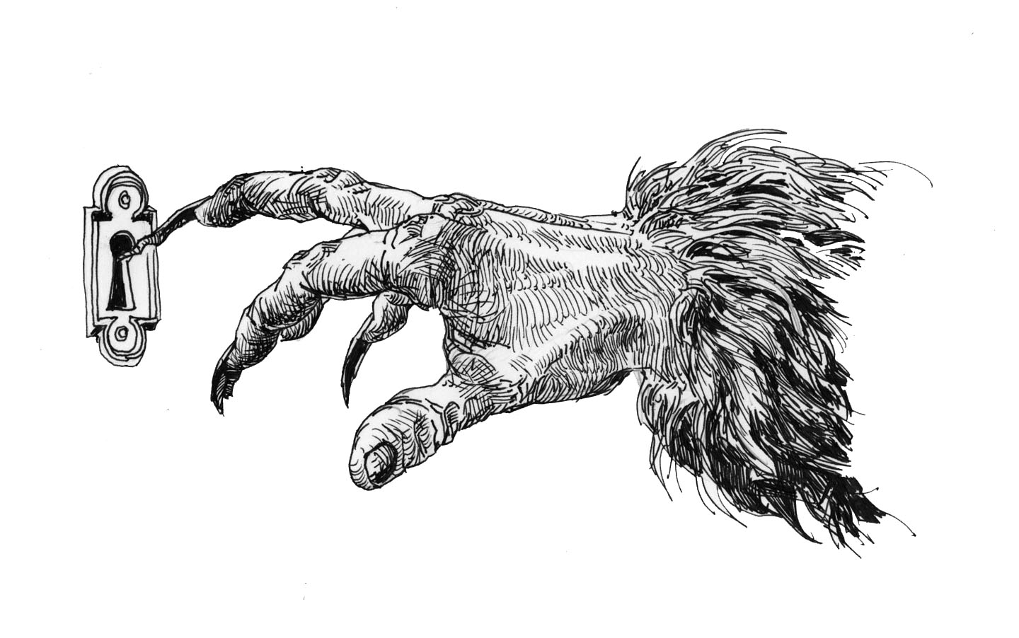 Momo celebrating time to read: The Yark by Bertrand Santini illustrated ...