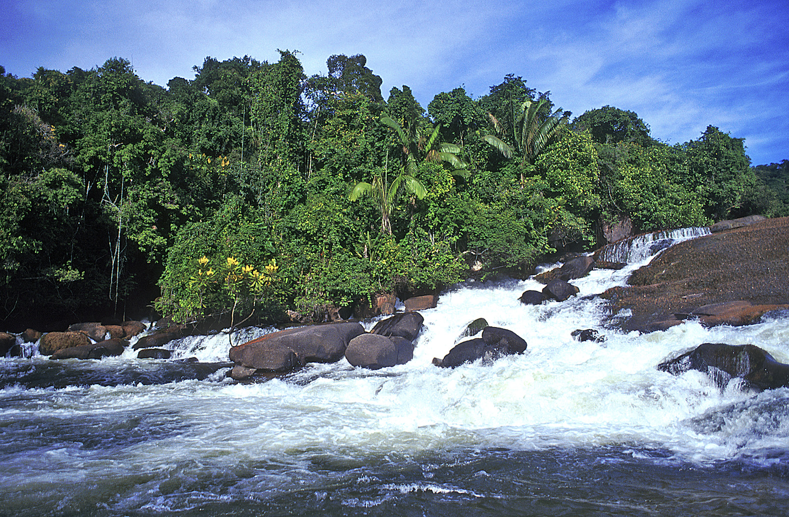 DIGITAL CAMERA ADVENTURES: VIVIENDO DE LA NATURALEZA...SER PIONEROS