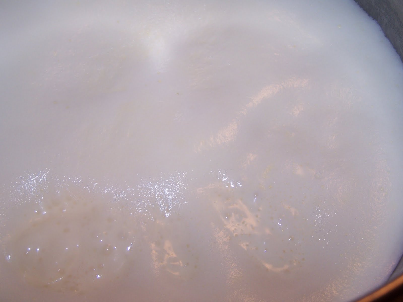 The Primal Junk Foodie: French Yogurt Fat Bomb