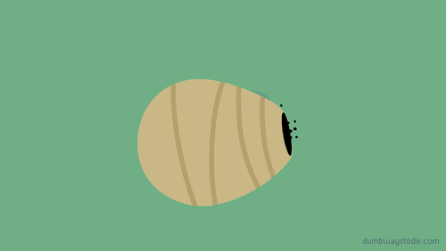 Cool: Cara bodoh untuk mati | Mr. Copy Paste