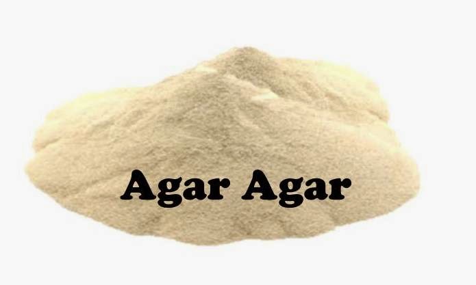 Pharmacognosy of Agar