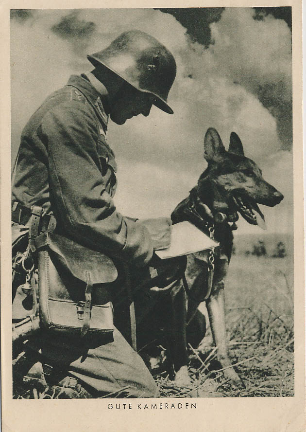 NAZI JERMAN: Album Foto Anjing (Hunde) Nazi Jerman