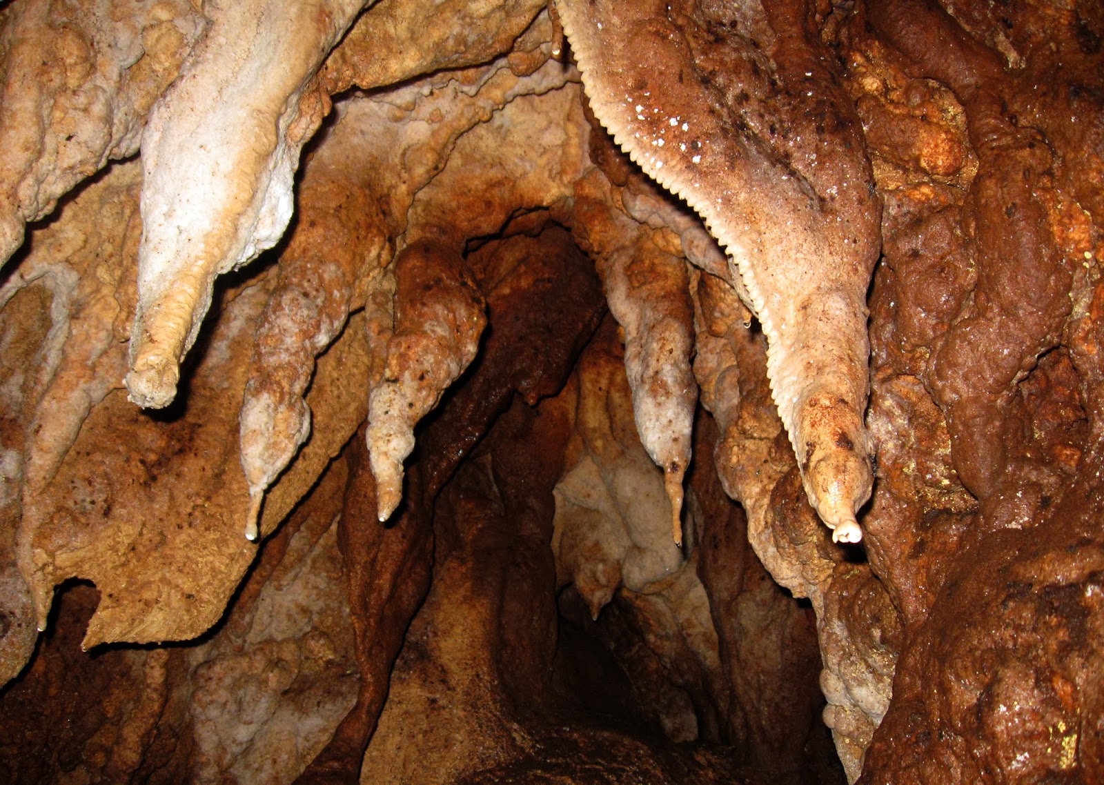 julpanzphotos: Travelogue