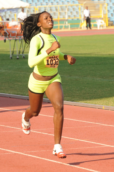 The Plural Of Hyena: Things I Find Fascinating: 25 Unfortunately Named ...