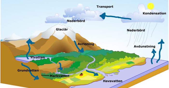 naturemma: vattnets kretslopp.