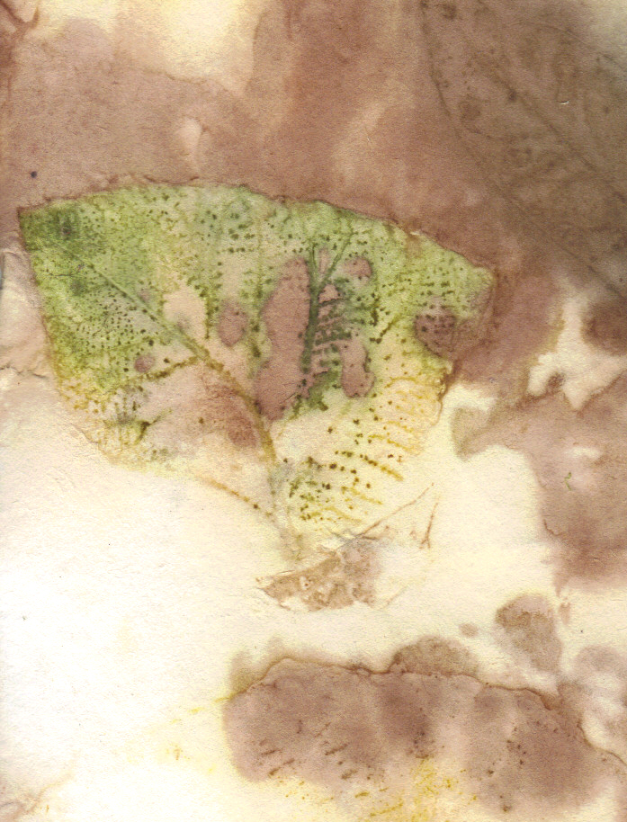 8 that create: Nature's Colors