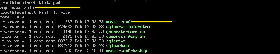 Database Administrator's World: Enabling trace flags in SQL Server ...