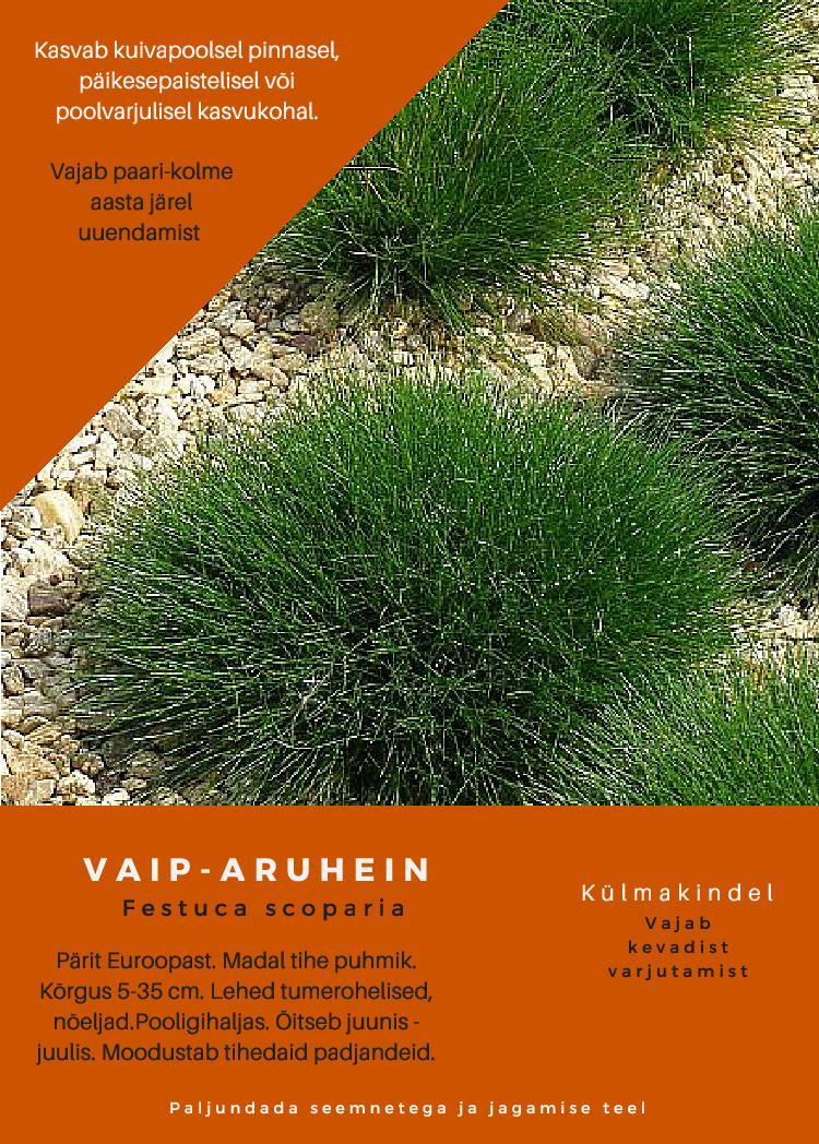 Taluaed: KÕRRELISED