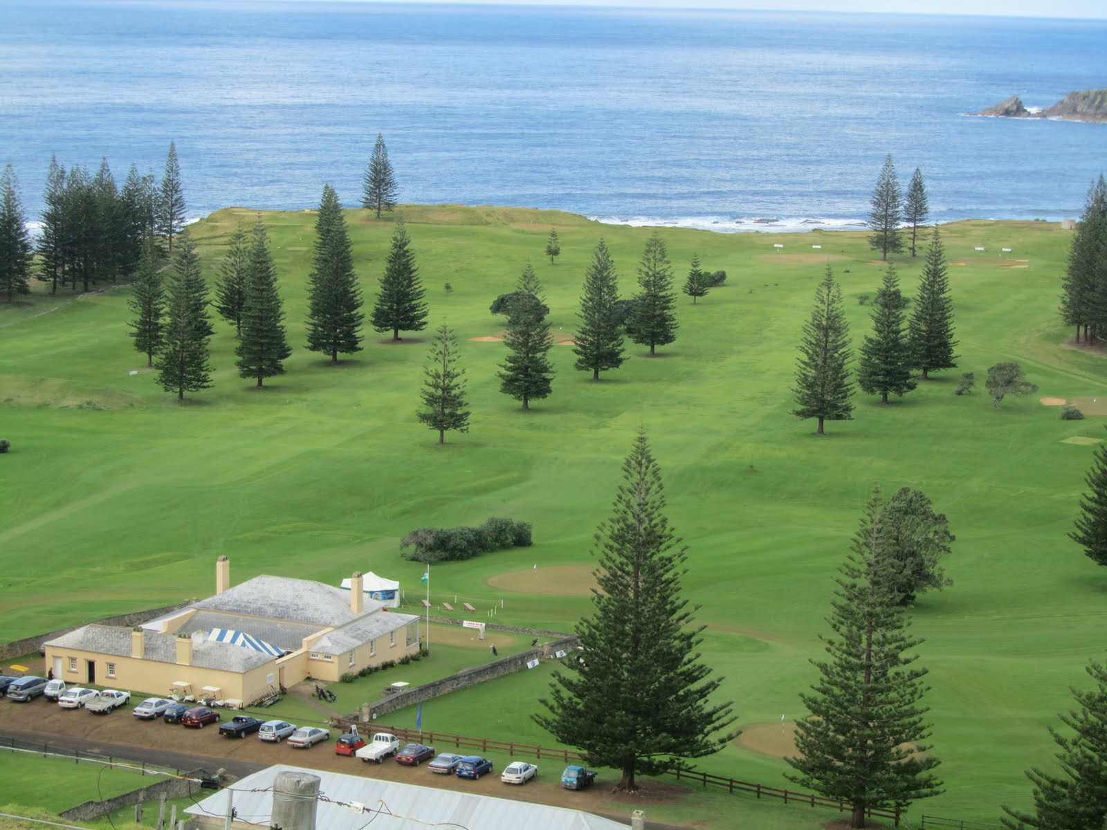 Terrigal Ladies Golf: August 2011