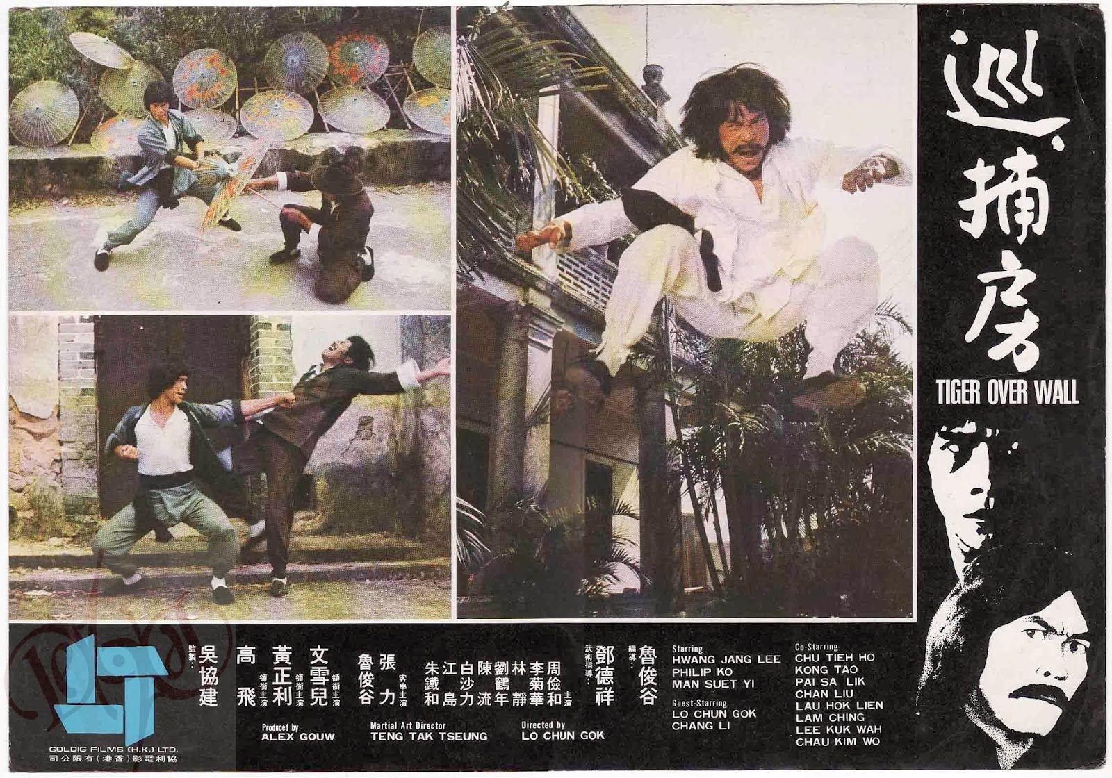 El mundo de las artes marciales en el cine: 1980 - Tiger Over Wall ...