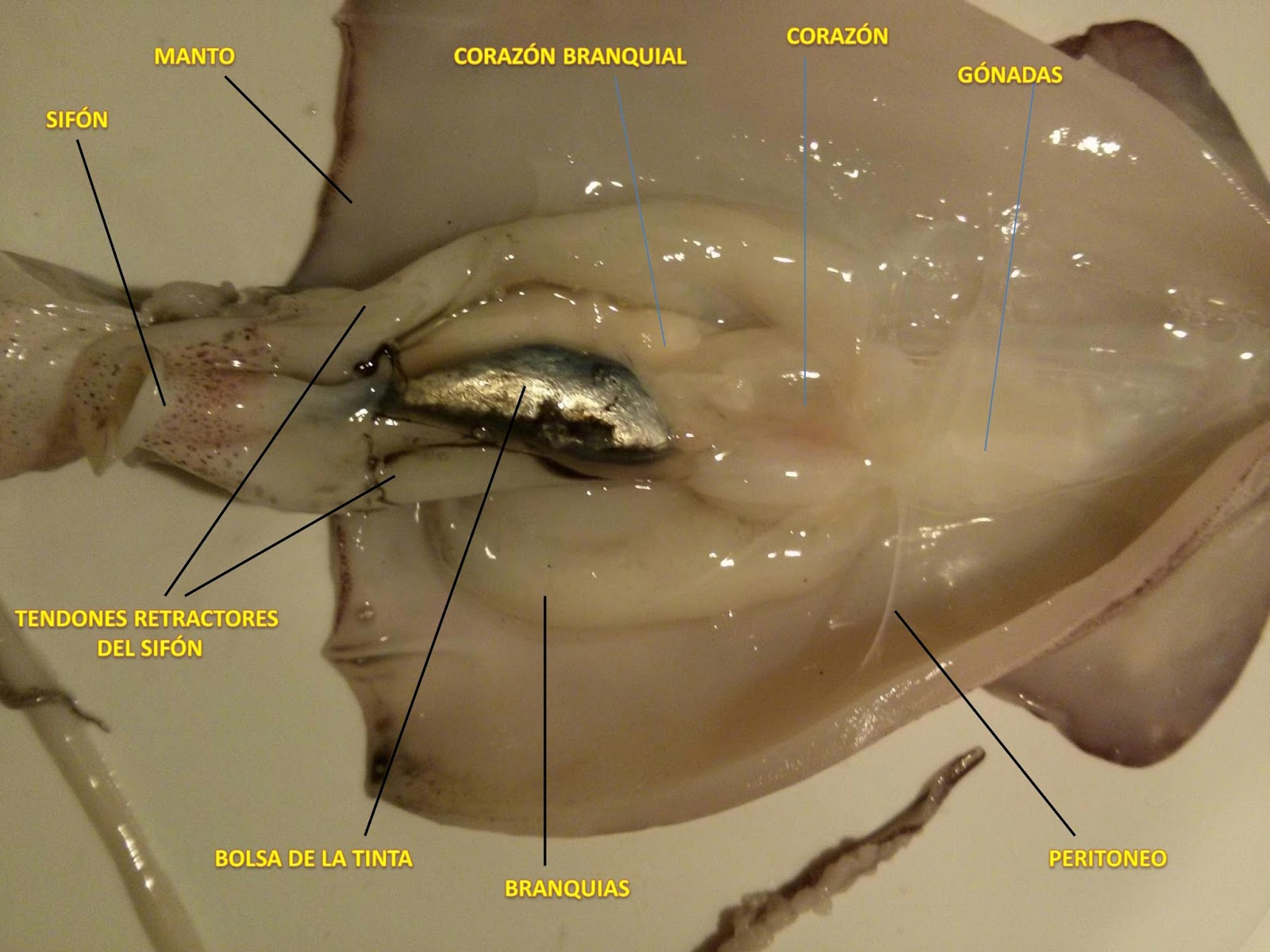 Biología y Geología : Galería fotos Laboratorio de Física y Biología
