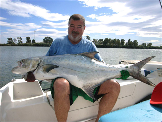 Big Fishes of the World: LEERFISH GARRICK (Lichia amia)