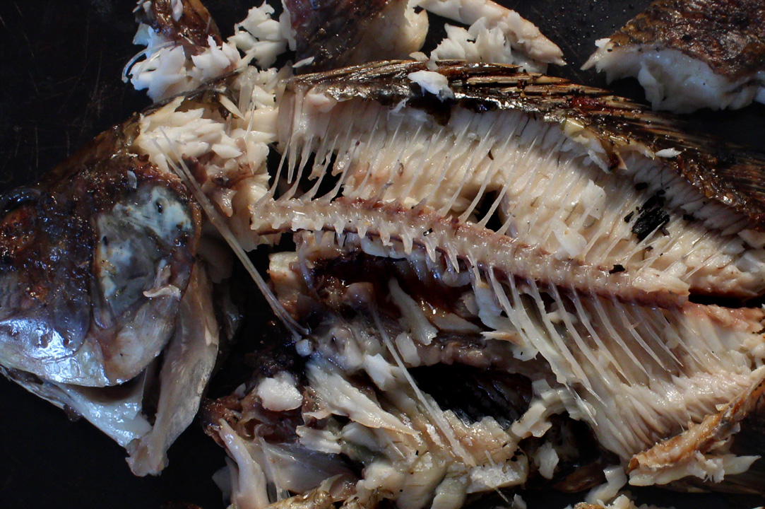 The 99 Cent Chef: July 2017