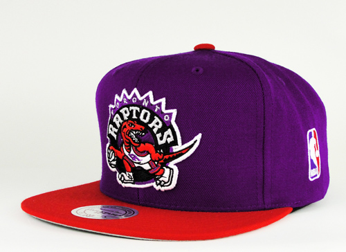Dope SnapBacks: Toronto Raptors 2 Tone SNAPBACK (Gray Under)