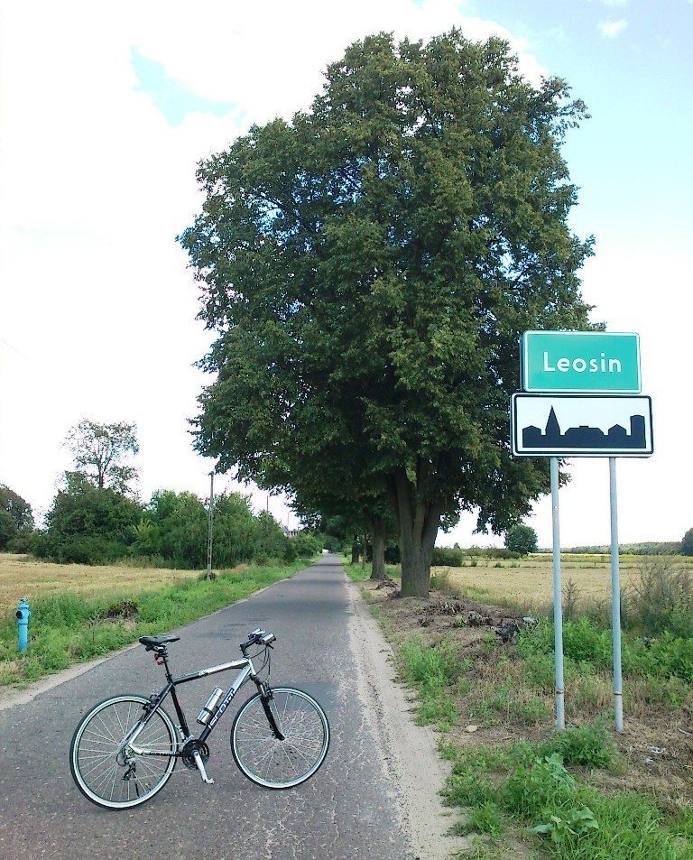 Mr SCOTT jedzie do... (-:: WYCIECZKA Nr 115 - Kochanów