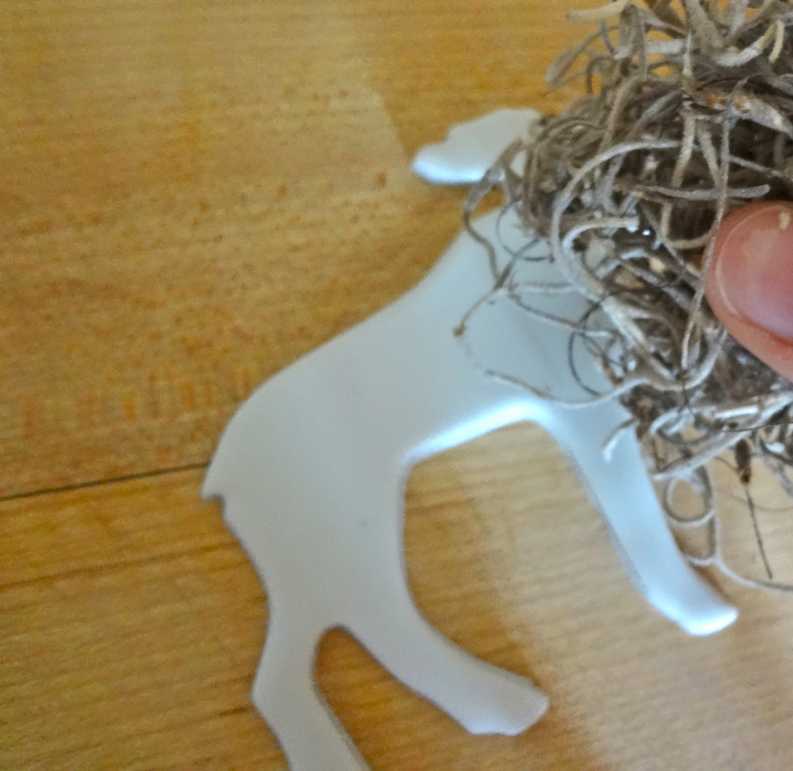Hardly Housewives: Moose on the Spruce