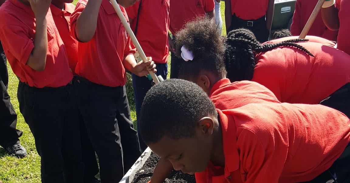 Southern University Ag Center and College of Agriculture: Students from ...