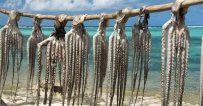 Le Vacancier de l'ile Rodrigues: Île Rodrigues: La pêche à l'ourite ...