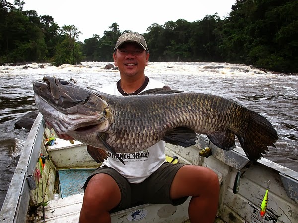 ANGLING WORLD 魔魚釣界: The Exotic Amazon Game Fish - Aimara
