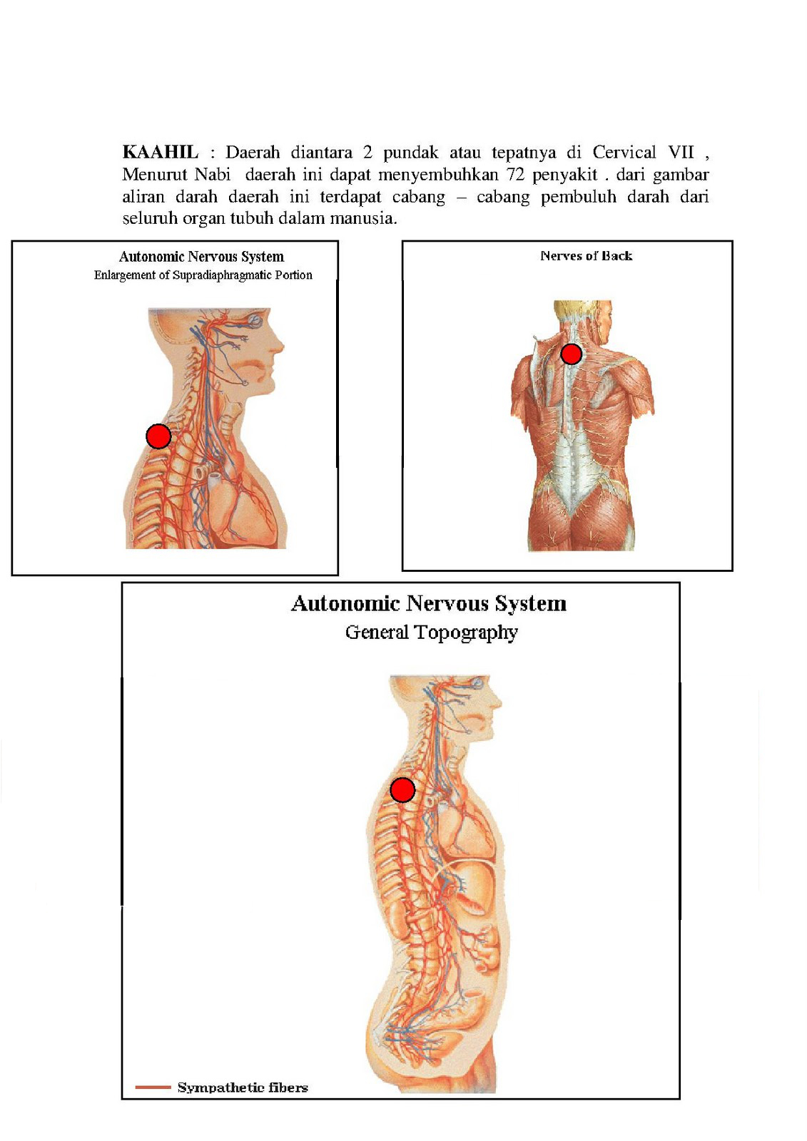 BEKAM MANUKAN: Titik Bekam