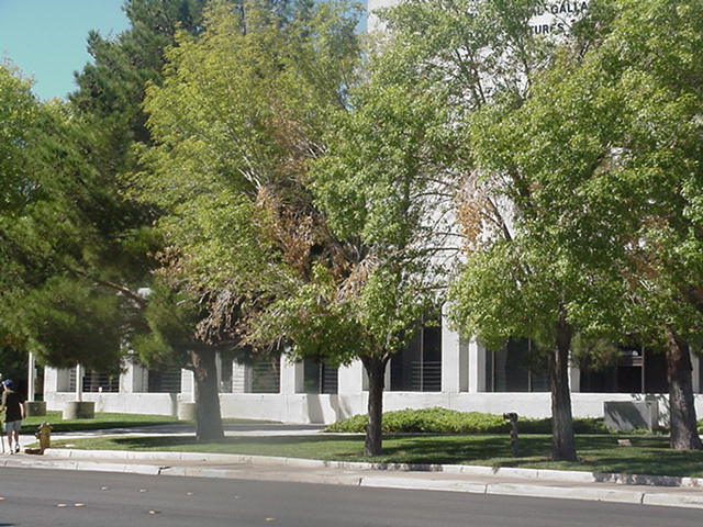 Xtremehorticulture of the Desert: 13 November 2011