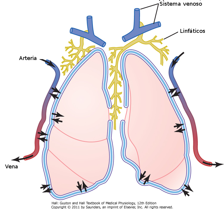 Medicina del Trabajo - PNF en Higiene y Seguridad Industrial - UPTAEB ...