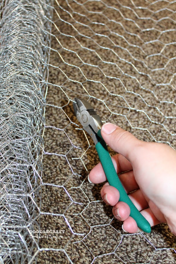 Chicken and Mesh Wire Vintage Picture Frames!