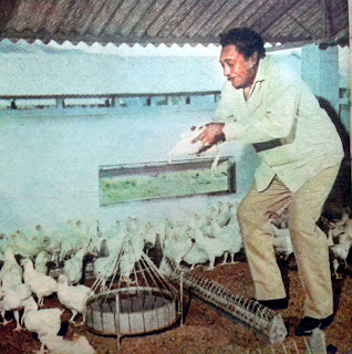 Ashok Kumar with his Chicks