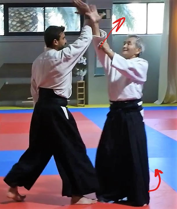 Shihonage Shomenuchi básico (omote)