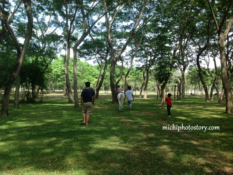 Michi Photostory: 7 Things that you Can Do in Fun Farm at Sta Elena