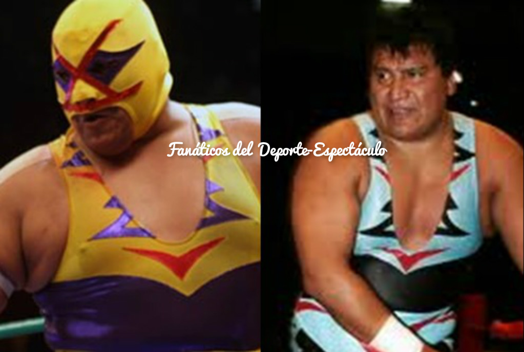 Hoy deseamos feliz cumpleaños a Felino y Villano V, dos estrellas de la ...