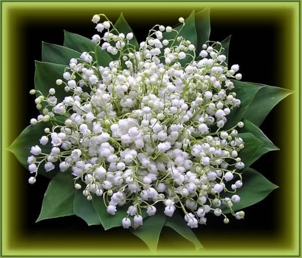 SECTIA IMPRUMUT CARTE PENTRU COPII: ISTORIA LACRAMIOAREI