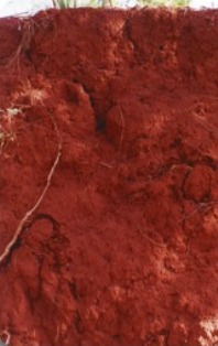 O Espaço da Geografia: Caracterização do solo