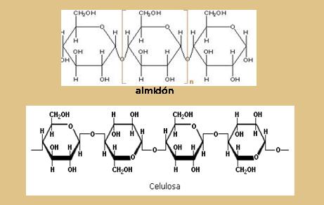 Química: 3. CLASIFICACIÓN DE CARBOHIDRATOS: