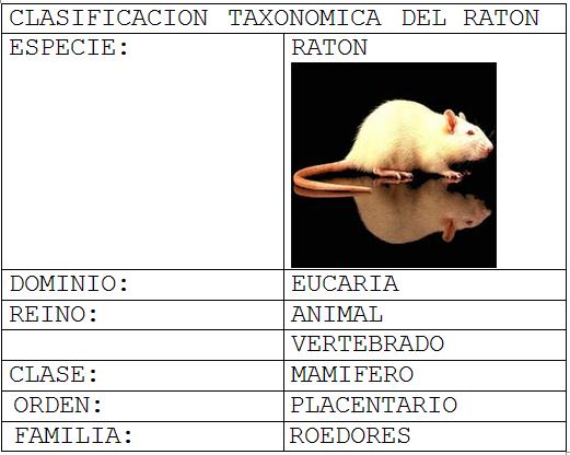 welcome!!!!!!: EJEMPLO DE CLASIFICACIÒN DEL RATÒN