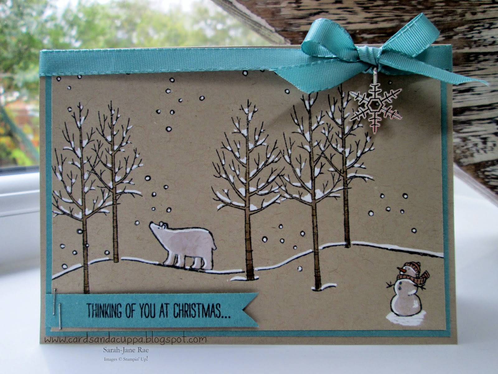 Sarah Jane Rae Cardsandacuppa Stampin Up Uk Order Online 24 7 Polar