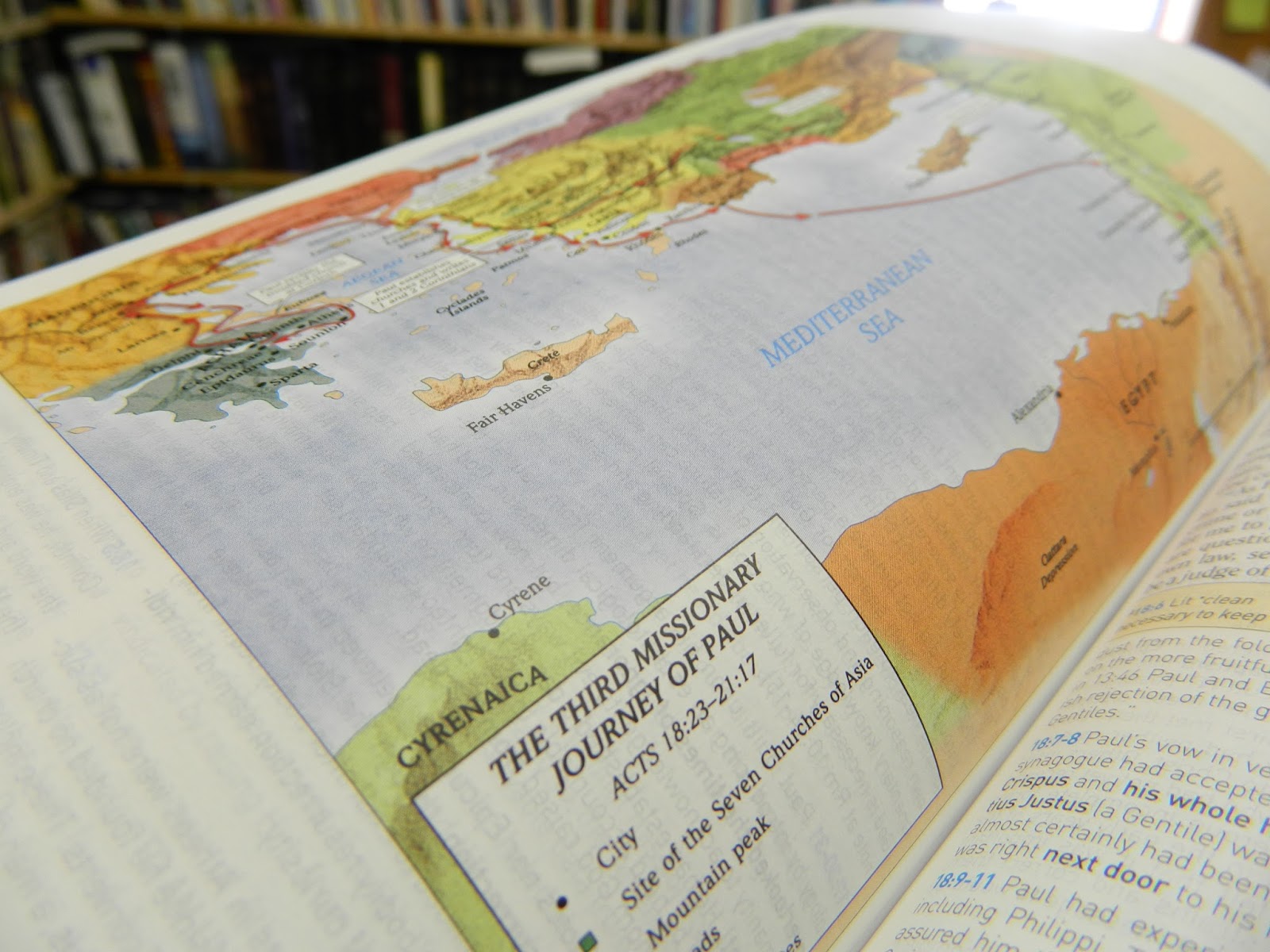 Study Bibles for Expositors--The Holman Christian Standard Study Bible ...