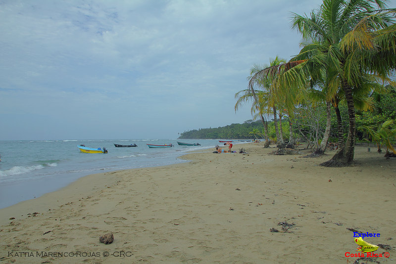 Manzanillo de Limón | Explore Costa Rica
