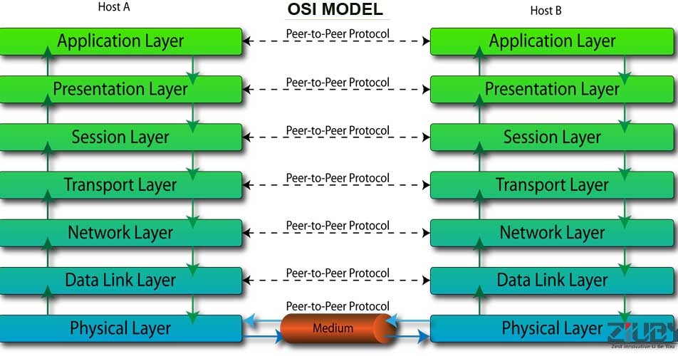 Web Designing & Development: OSI Model